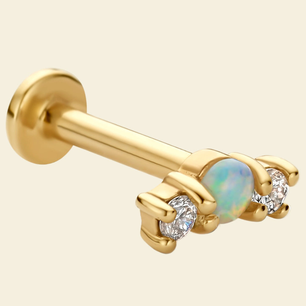 Luxe 14K gouden piercings | Oorpiercings dames – Eline Rosina